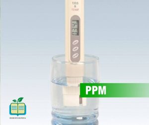 7 Singkatan Yang Sering Dipakai di Dunia Hidroponik - HIDROPONIKPEDIA