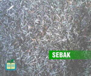 7 Singkatan Yang Sering Dipakai di Dunia Hidroponik - HIDROPONIKPEDIA