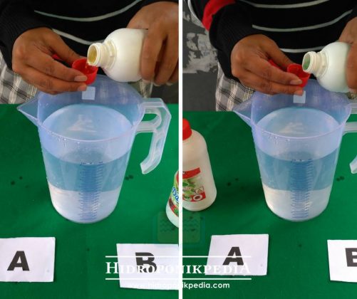 Cara Pemakaian Nutrisi AB Mix - HIDROPONIKPEDIA