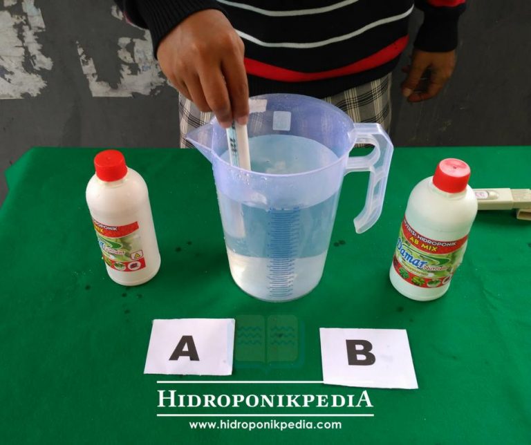 Cara Pemakaian Nutrisi AB Mix - HIDROPONIKPEDIA